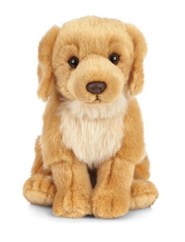 Golden retriever plush store