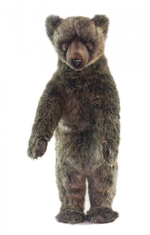 Hansa bear store